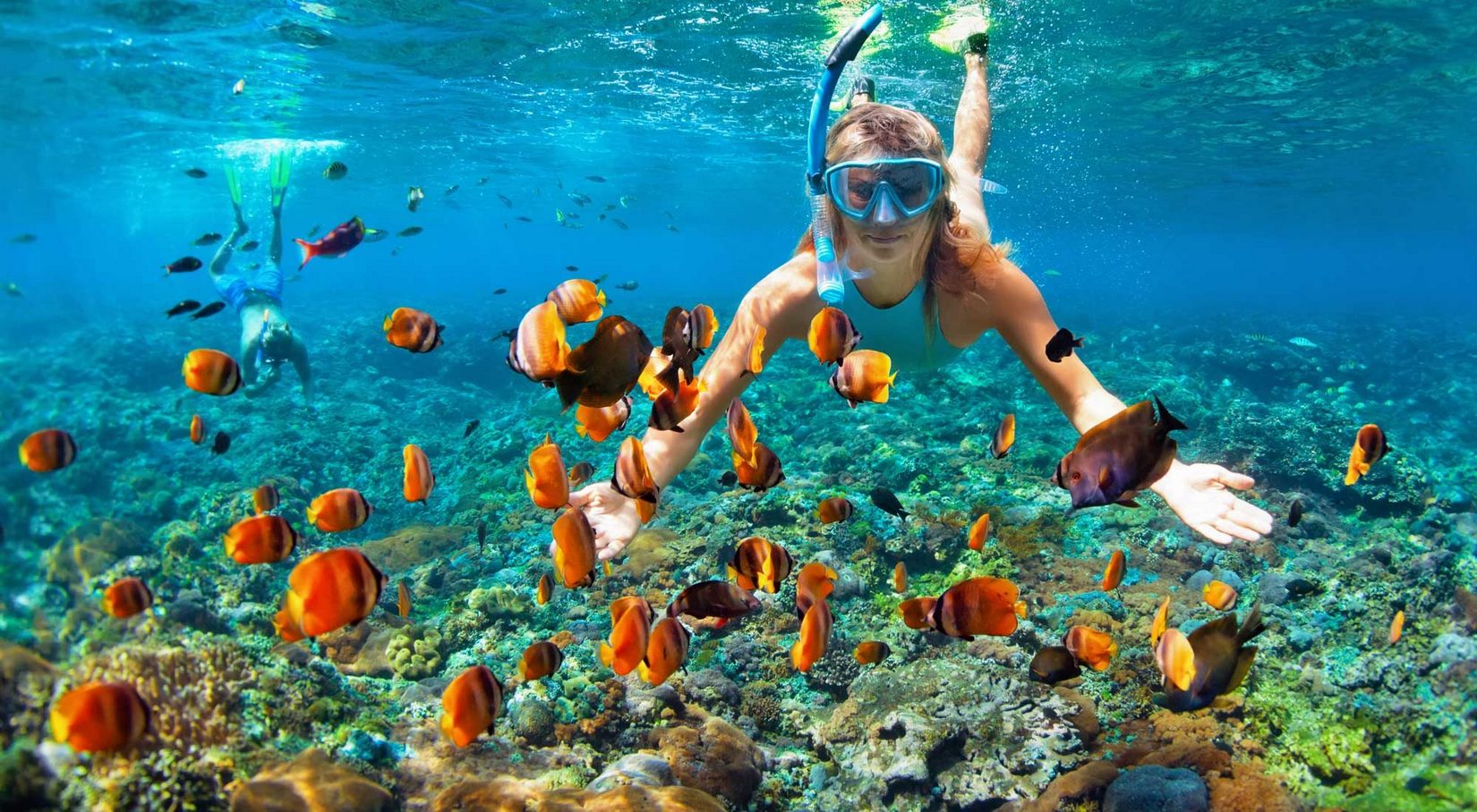 Excursión a isla Saona con snorkel y almuerzo, Punta Cana - 101viajes Excursión a isla Saona con snorkel y almuerzo, Punta Cana - 101viajes